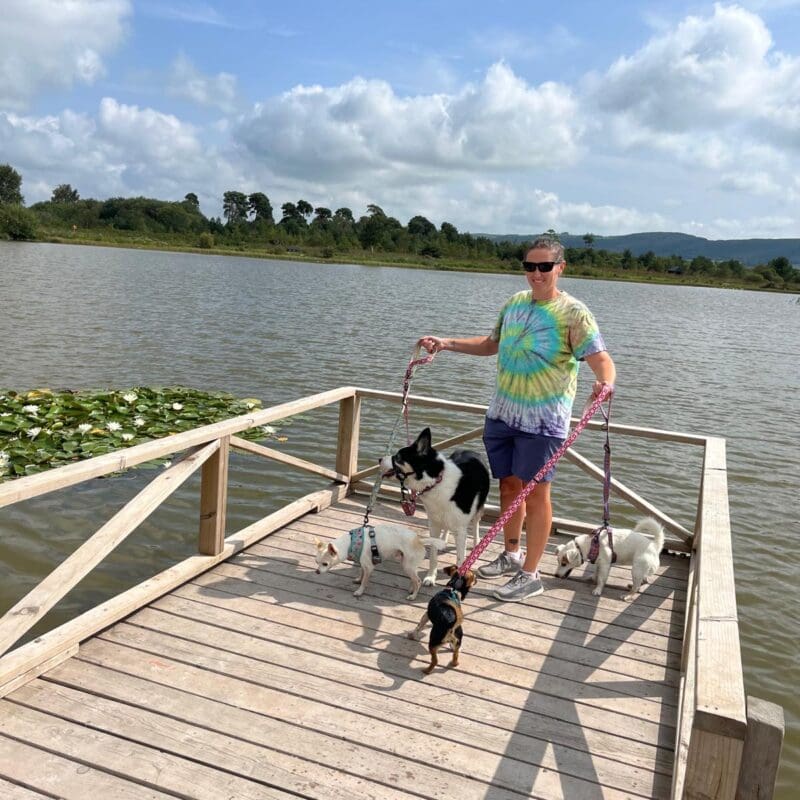 Saint Paul de Vence | Irish Artmart