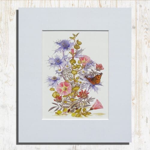 Print of Wildflowers on Dunes in West Cork by Patrick O'Hara ...