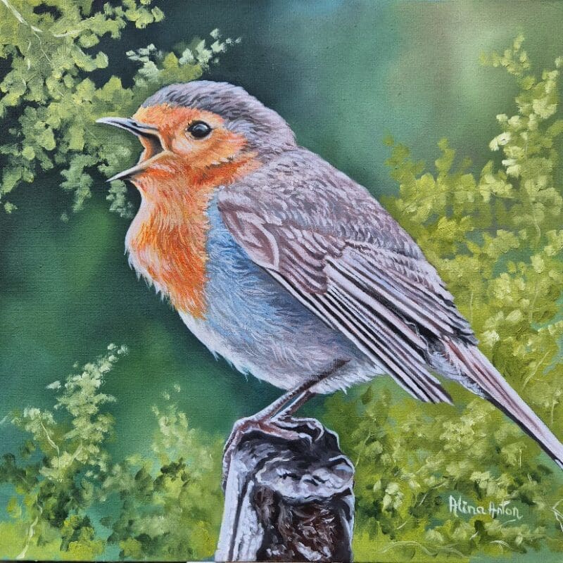 Baby Robin | Irish Artmart