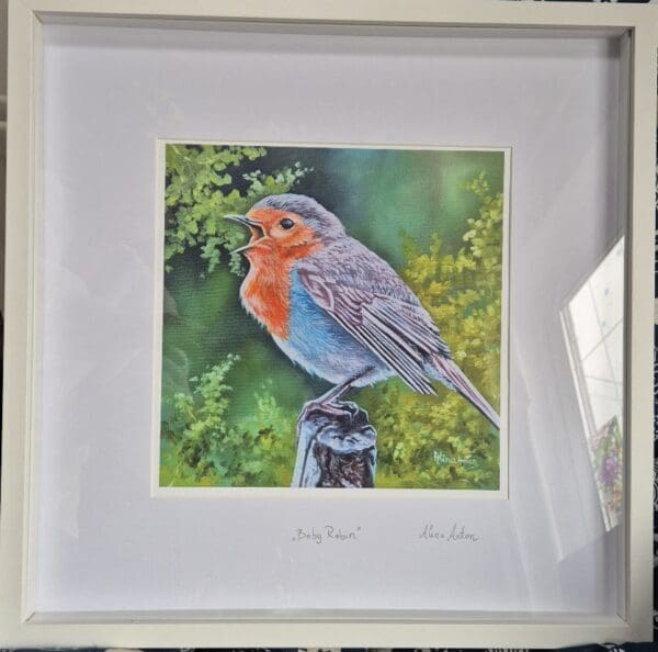 Baby Robin | Irish Artmart